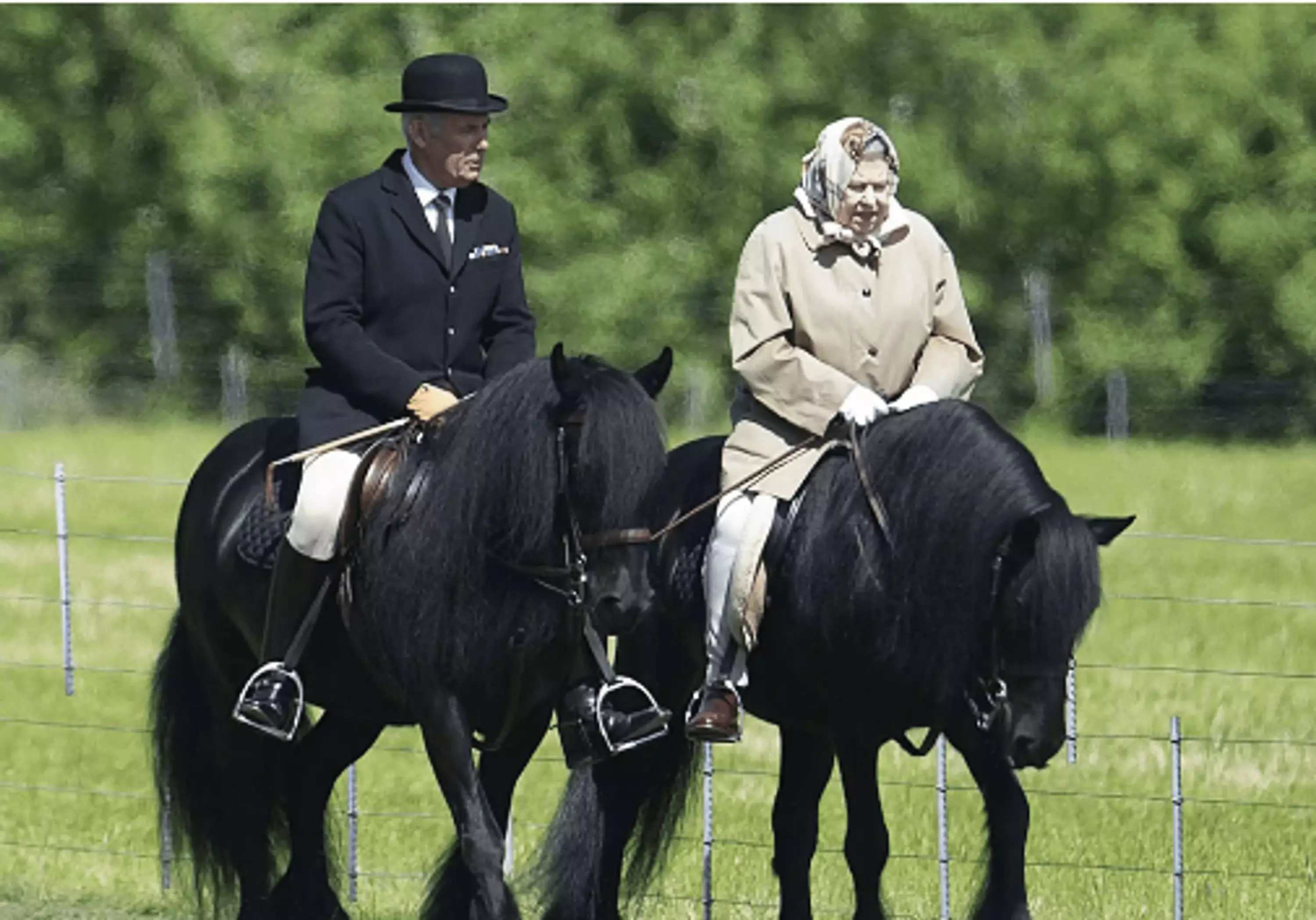 Koningin Elizabeth II het na 'n lang siekte teruggekeer na perdry