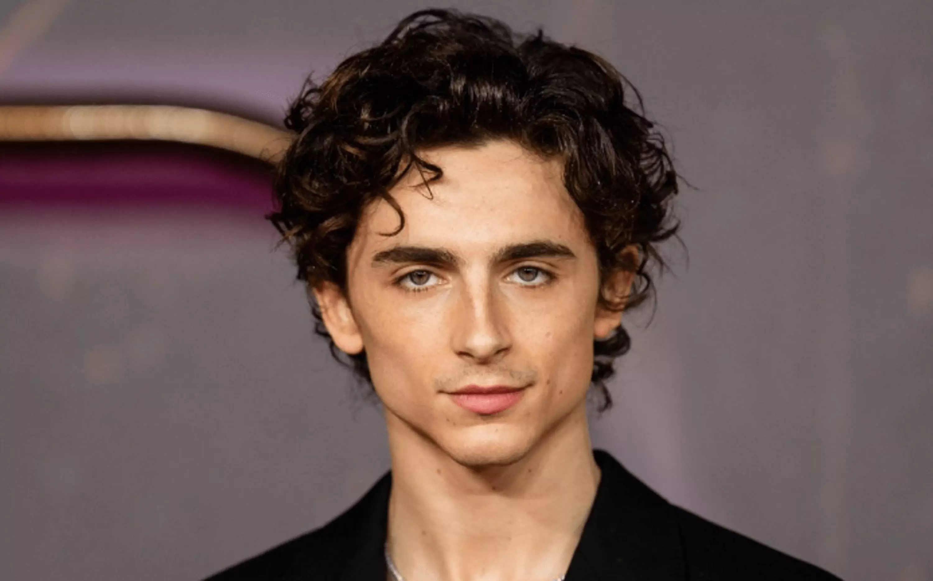 Al Pacino pense que Timothée Chalamet pourrait le remplacer dans une éventuelle suite de "Fight"