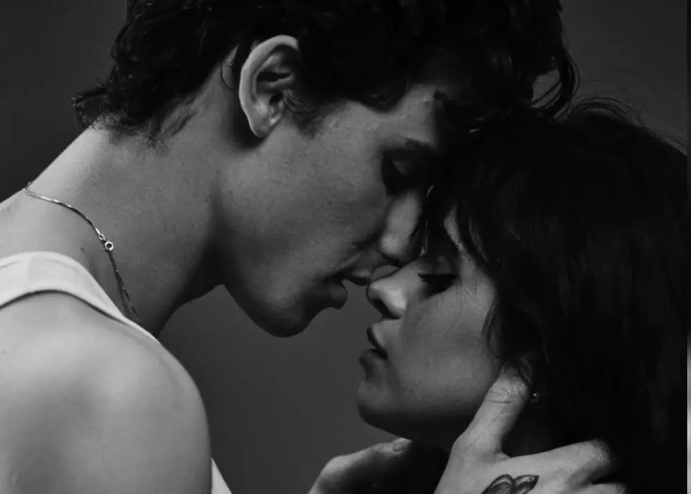 Camila Cabello anoda Shawn Mendes Uye Haana Hanya Anozviziva! 30094_0